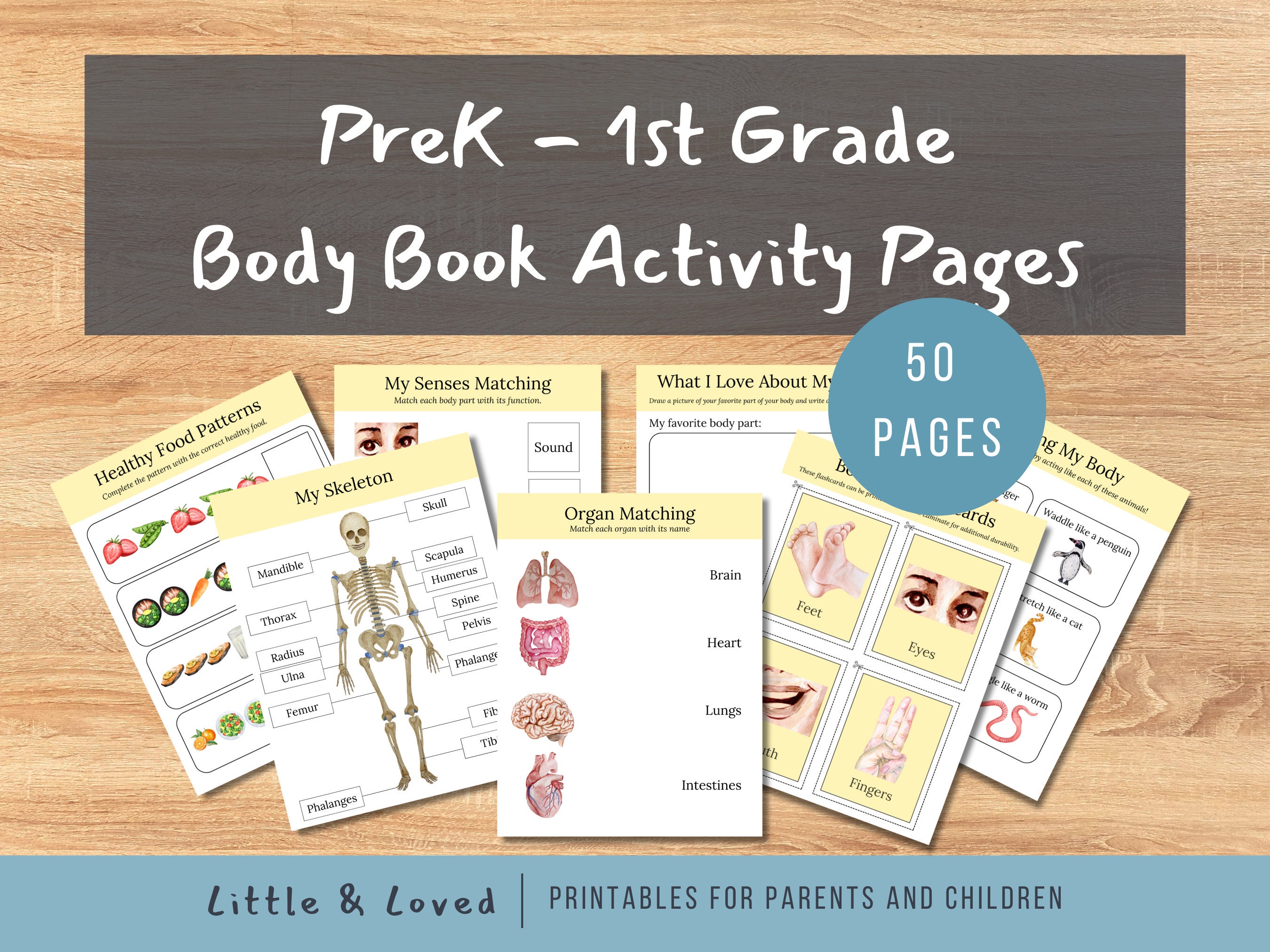 My Body Book Themed Worksheets and Activities for Preschoolers ...