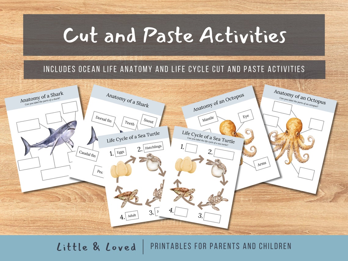 Ocean Life Themed Preschool, Kindergarten, and First Grade Worksheets ...
