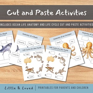 Ocean Life Themed Preschool, Kindergarten, and First Grade Worksheets ...