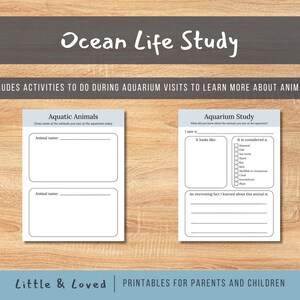 Ocean Life Themed Preschool, Kindergarten, and First Grade Worksheets ...