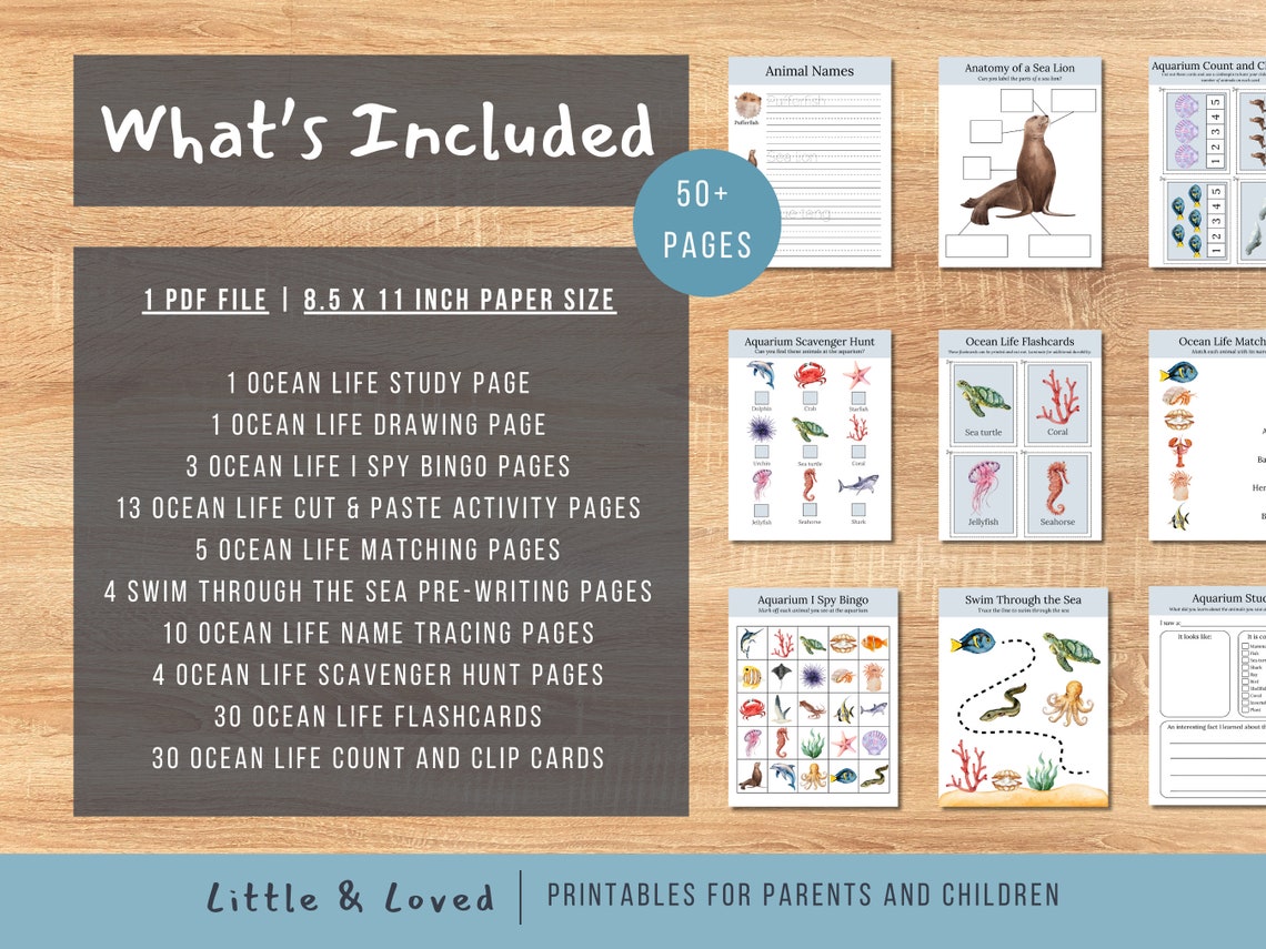 Ocean Life Themed Preschool, Kindergarten, and First Grade Worksheets ...