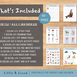 Ocean Life Themed Preschool, Kindergarten, and First Grade Worksheets ...