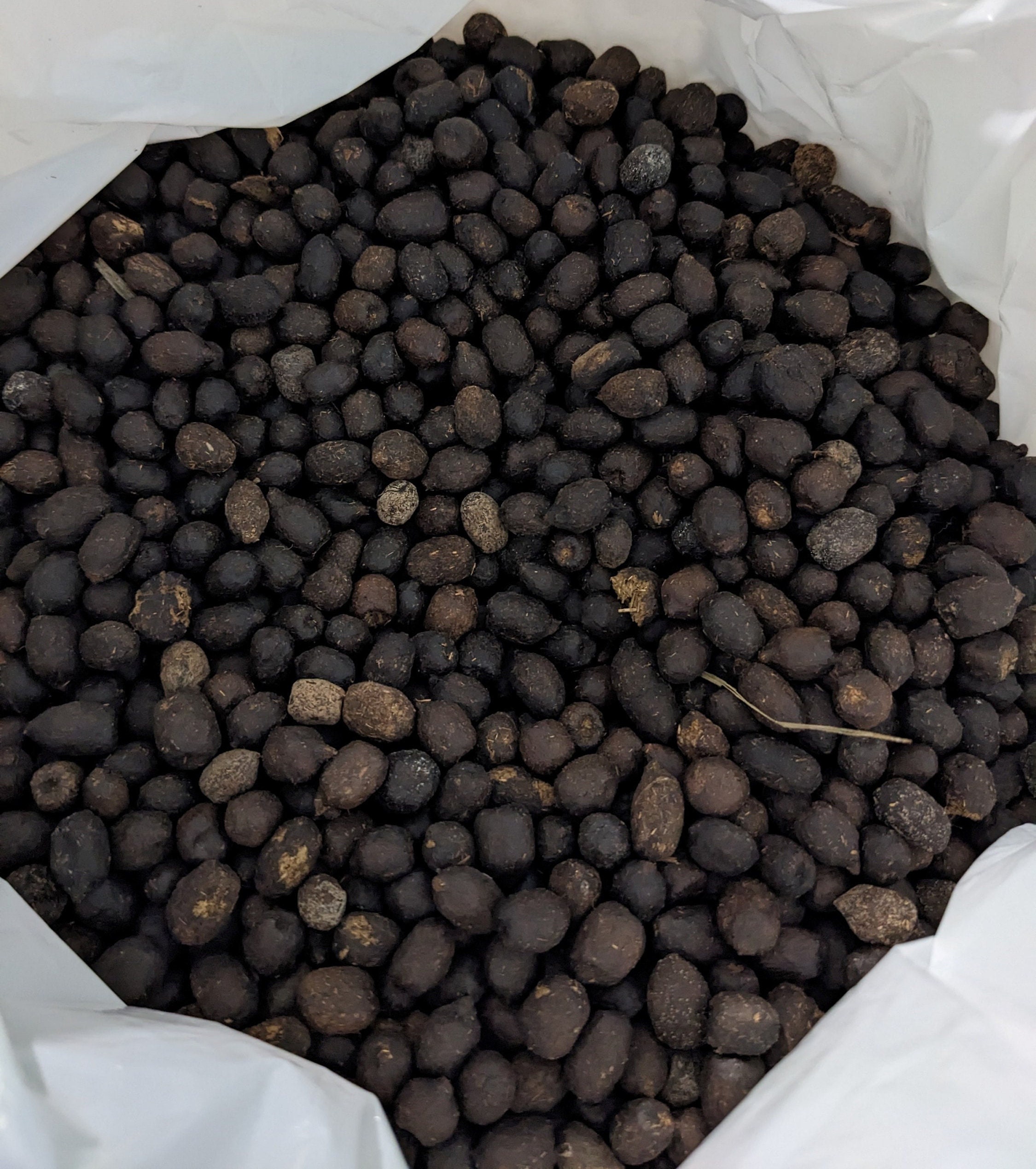 5 Pounds of Sheep Manure for Fertilizer - Etsy