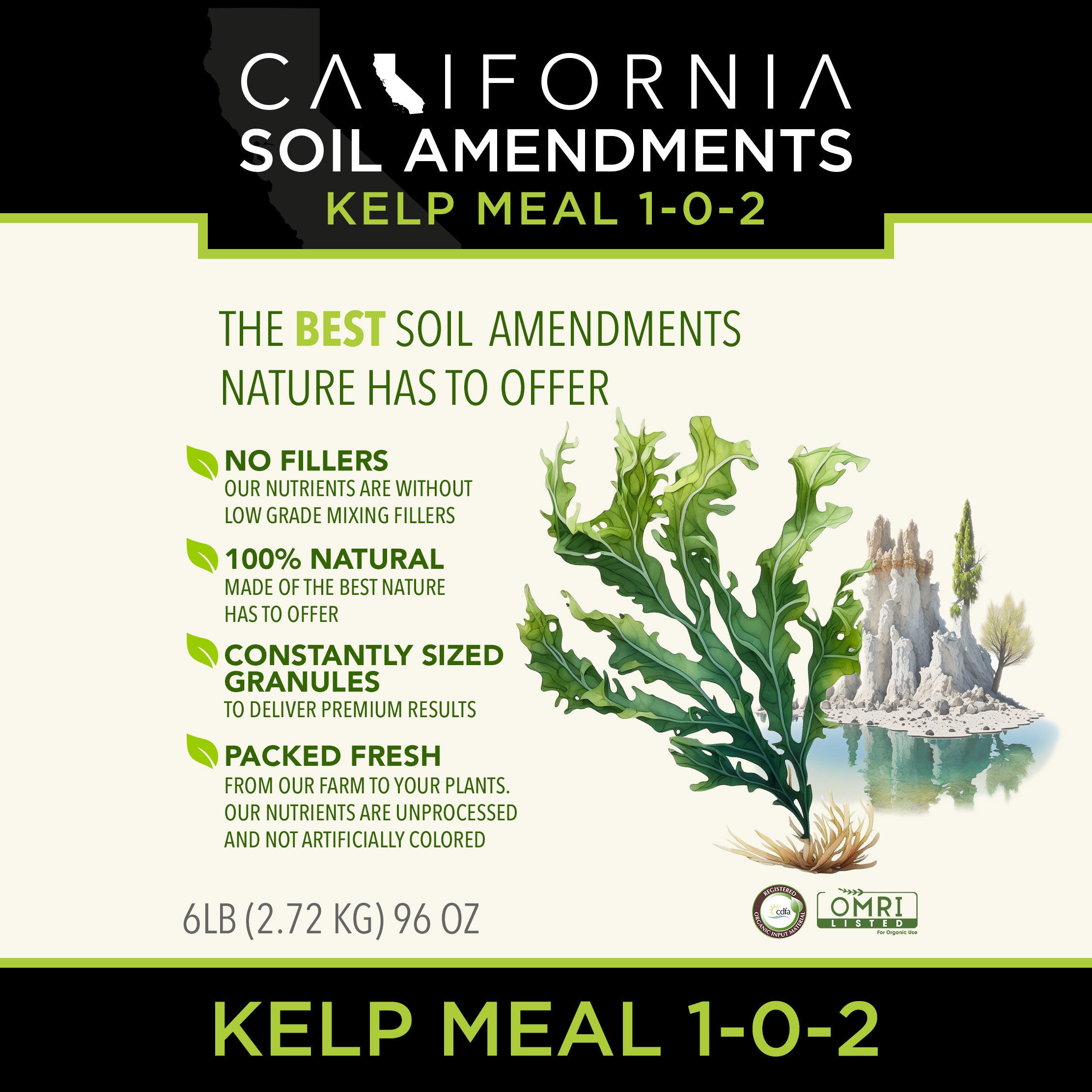 California Super Soil Starter Kit - Etsy