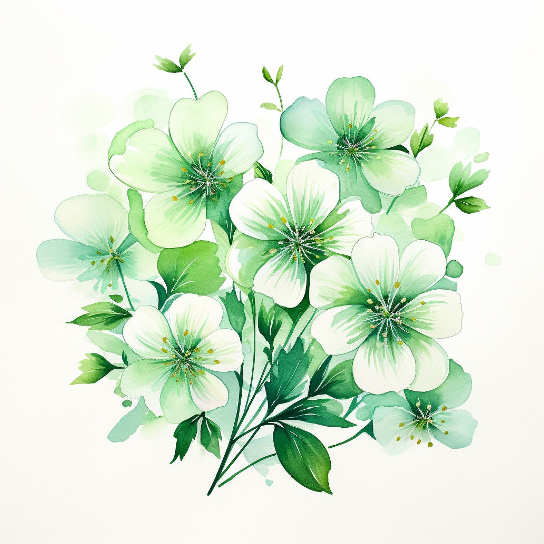 6 Pictures of Beautiful Green Watercolor Flowers Digital - Etsy