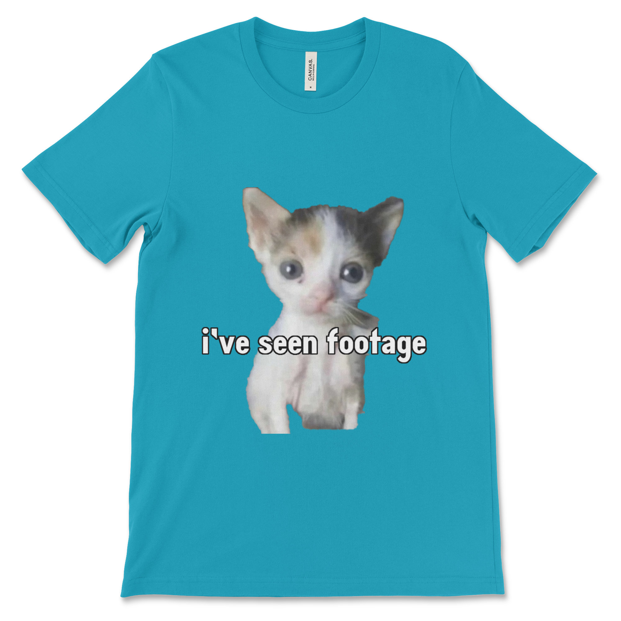 Cat Meme Shirt I've Seen Footage Cat, Death Grips, Cat Meme, Funny Cat ...