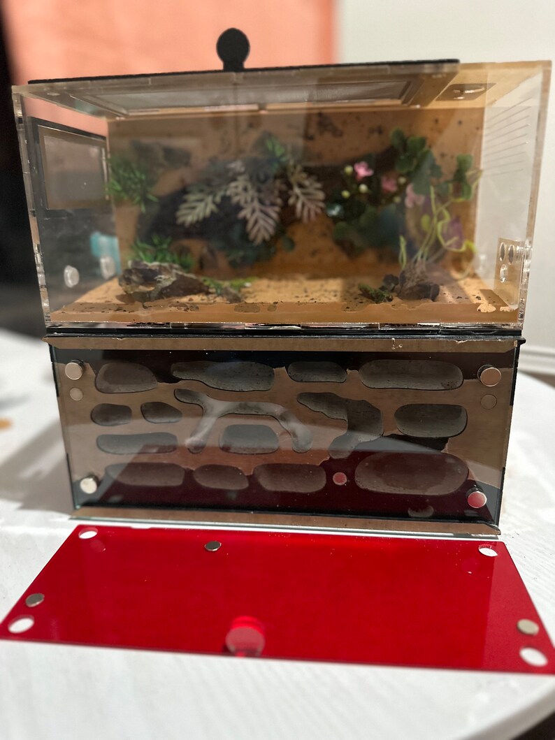 Ant Tank/ant Farm Nest D04 Max Option - Etsy