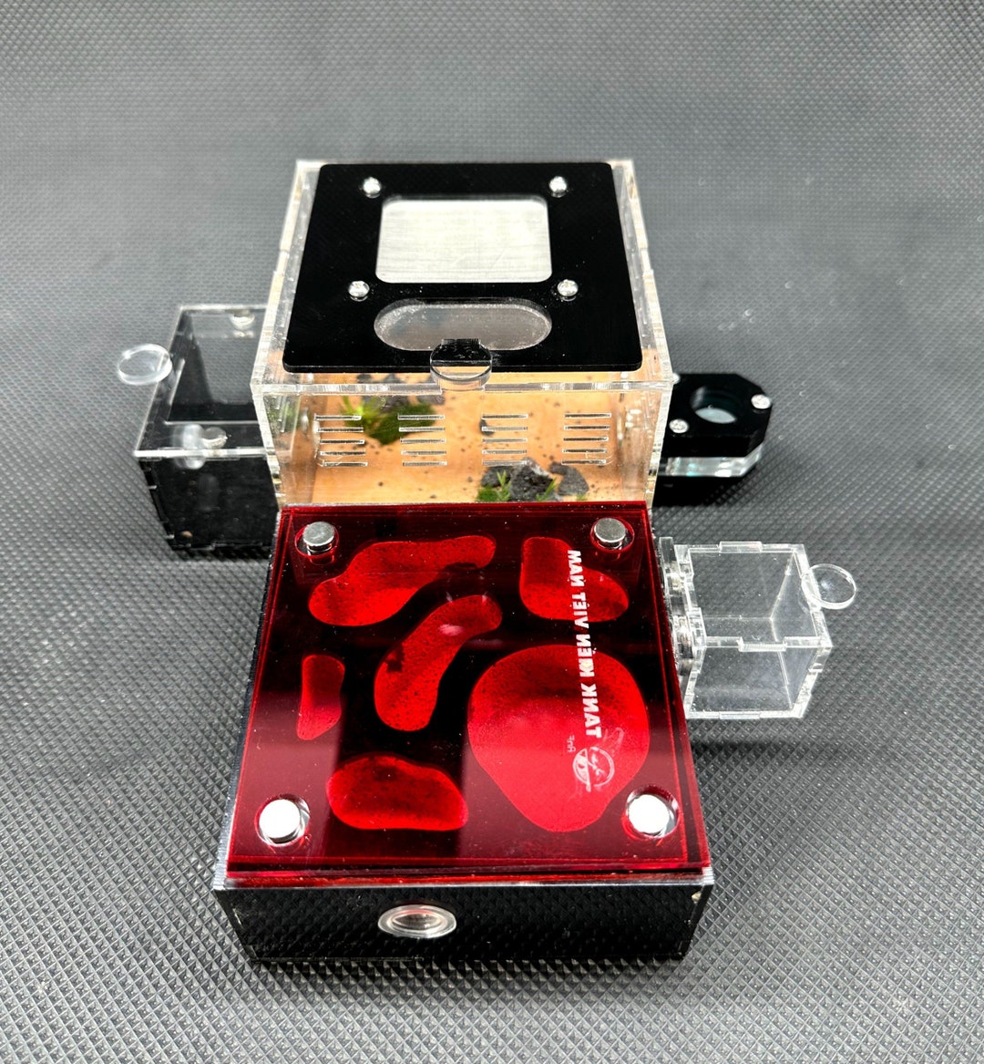 Ant Tank/ant Farm - Nest N02 - Full Option - Etsy