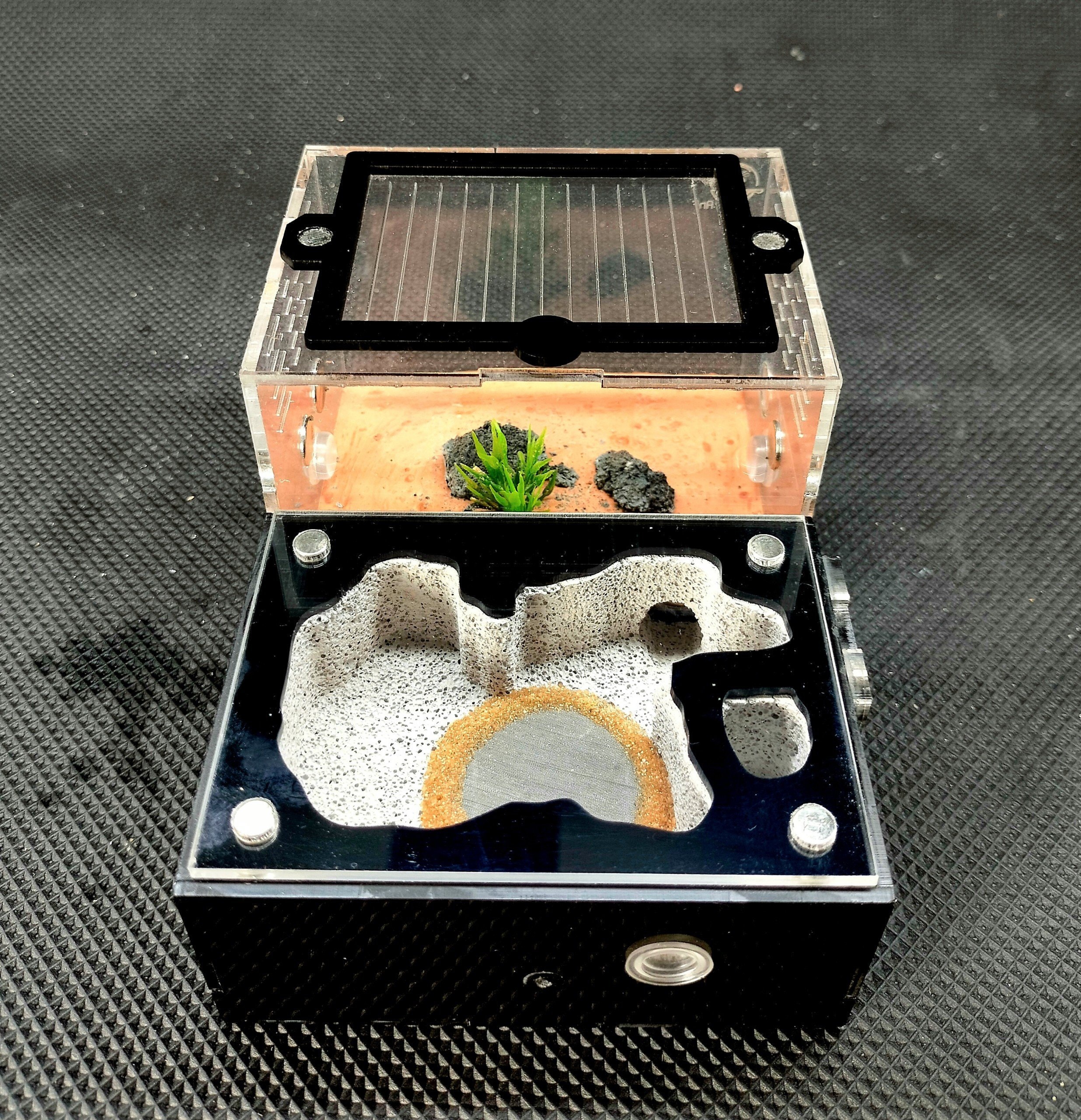 Ant Tank/ant Farm - Nest N01 - Full Option - Etsy