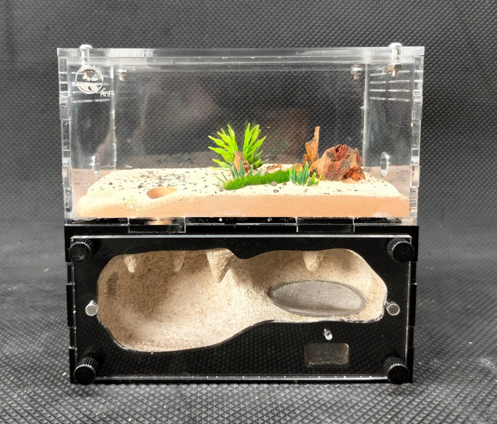 Ant Tank/ant Farm - Stand Nest H02 - Full Option - New Version - Etsy