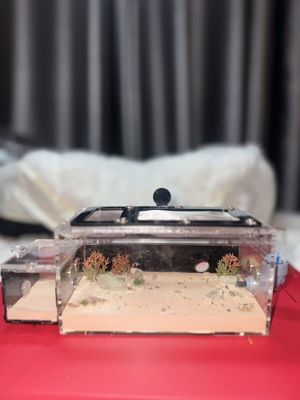 Ant Tank/ant Farm - Nest N03 - Full Option - Etsy