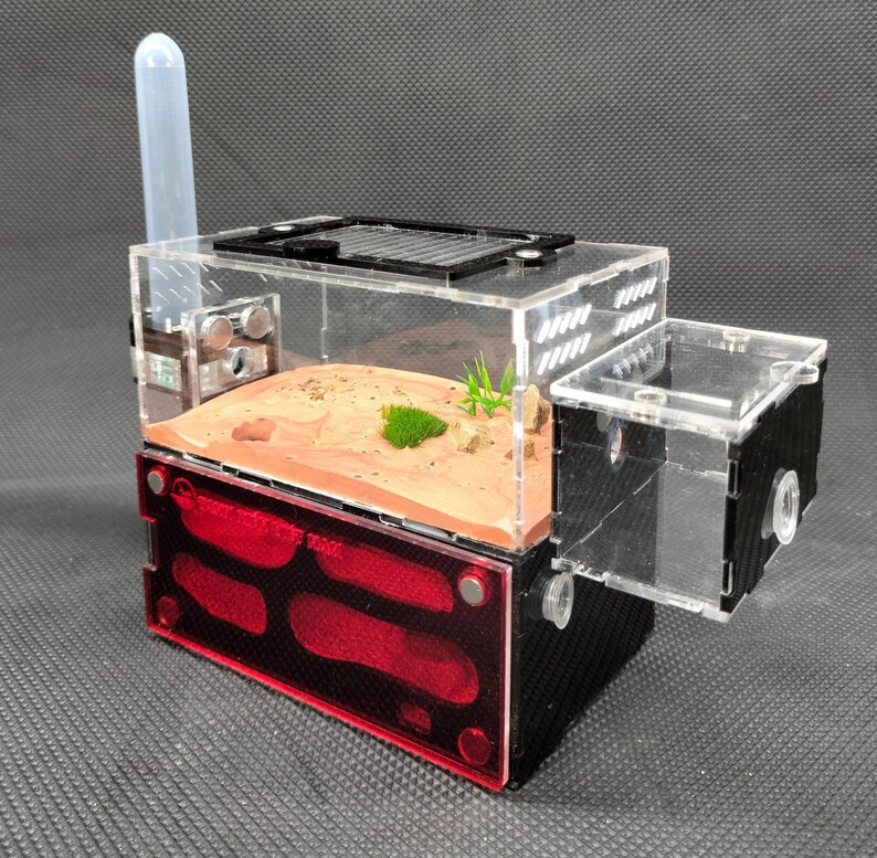 Ant Tank/ant Farm - Stand Nest D01 - Full Option - Etsy