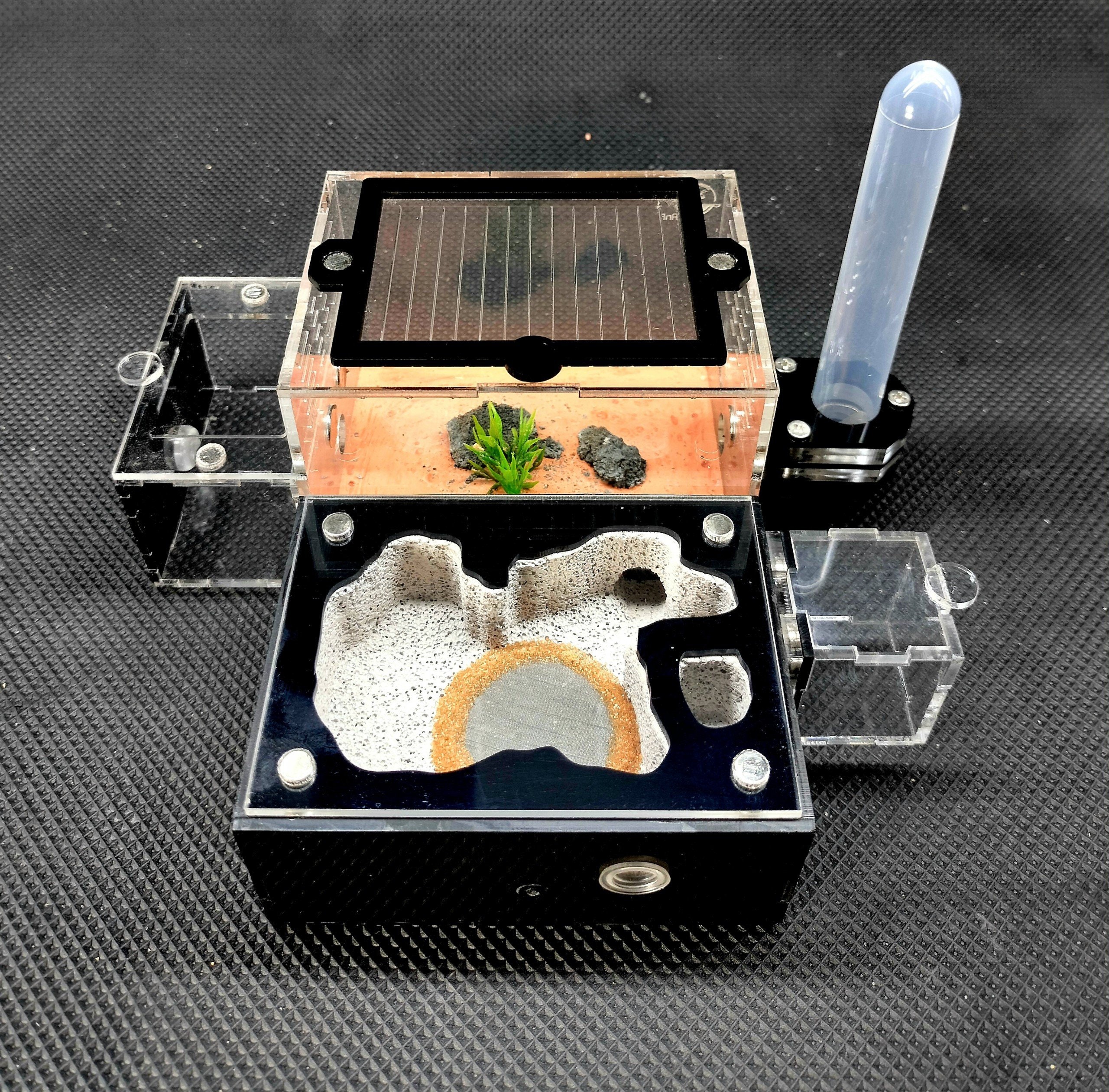Ant Tank/ant Farm - Nest N01 - Full Option - Etsy