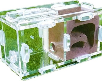 Ant Tank/ant Farm Nest D02 Full Option - Etsy