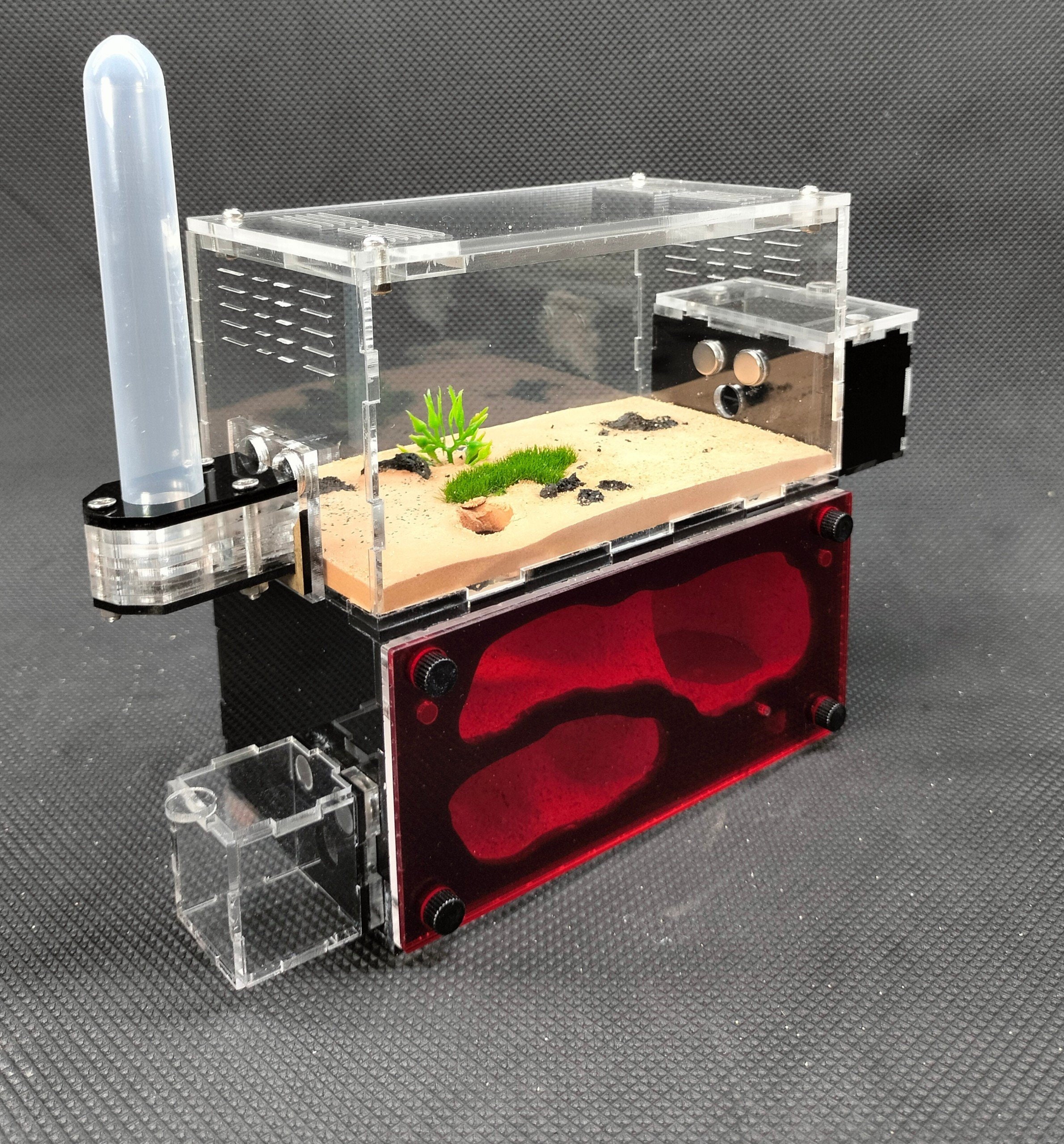 Ant Tank/ant Farm - Stand Nest H03 - Full Option - New Version - Etsy