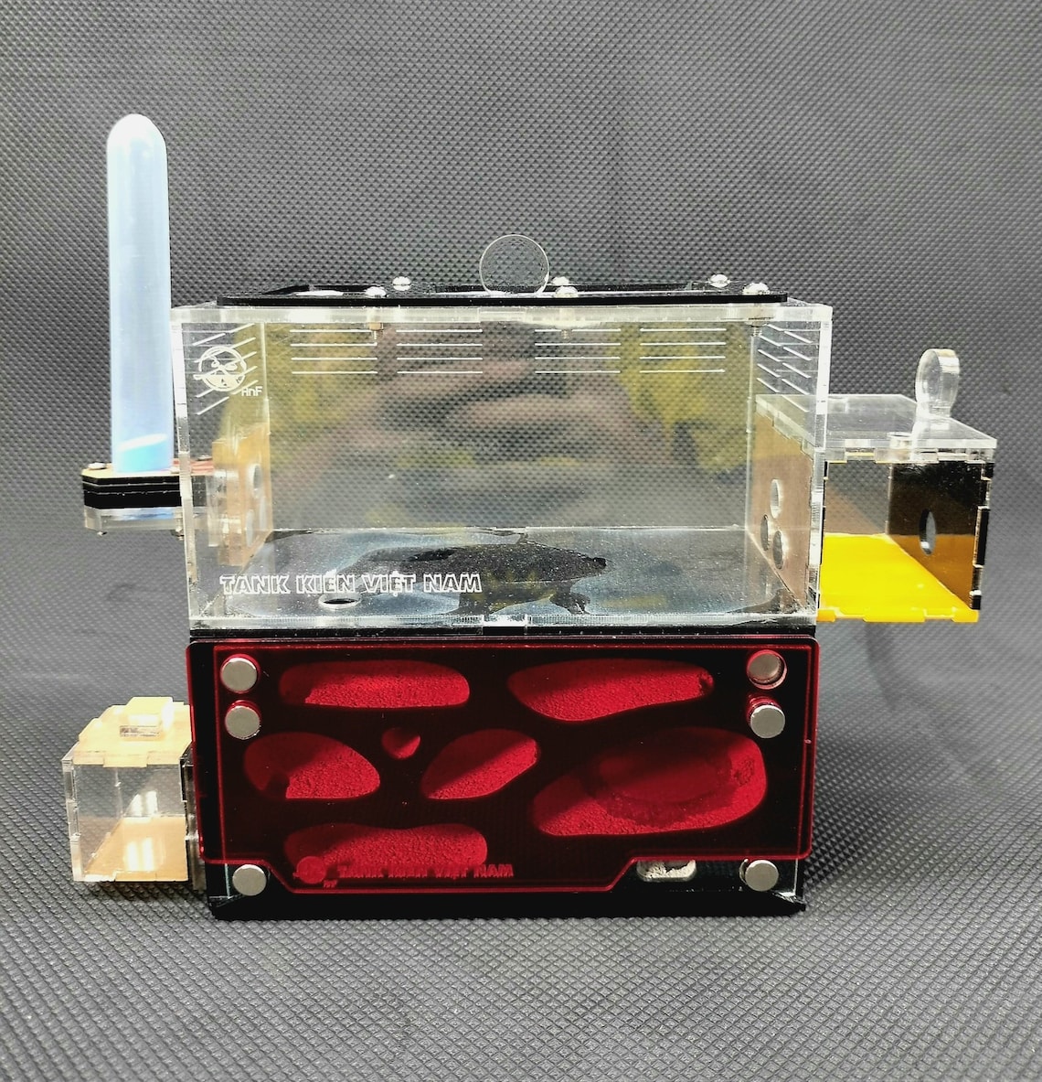 Ant Tank/ant Farm - Nest D02 - Full Option - Etsy