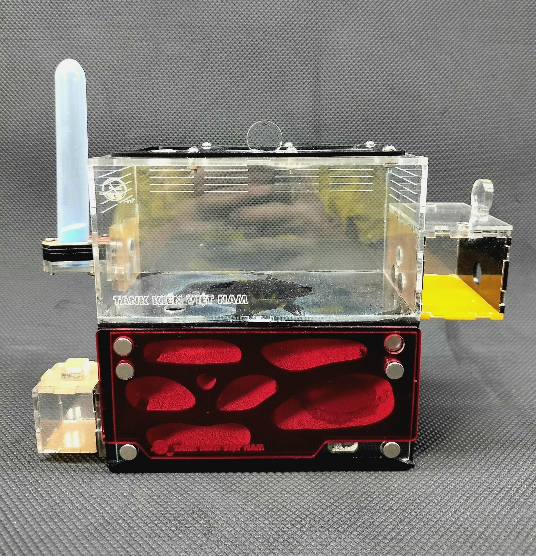 Ant Tank/ant Farm - Nest D02 - Full Option - Etsy