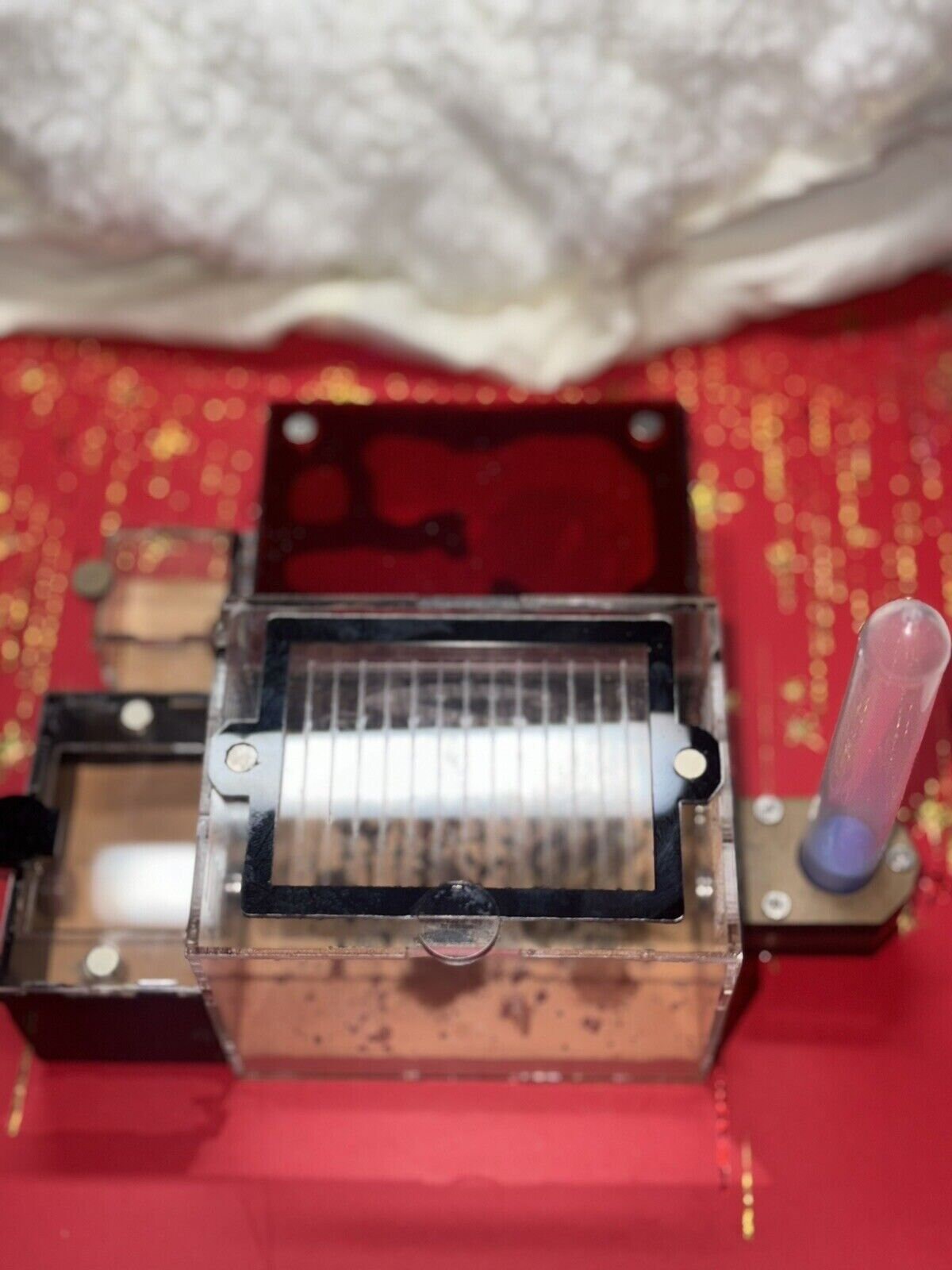 Ant Tank/ant Farm Nest N01 Full Option - Etsy