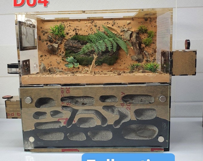 Ant Tank/ant Farm Nest D04 Max Option - Etsy