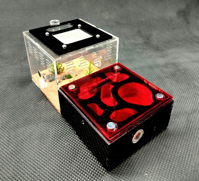 Ant Tank/ant Farm - Nest N02 - Full Option - Etsy