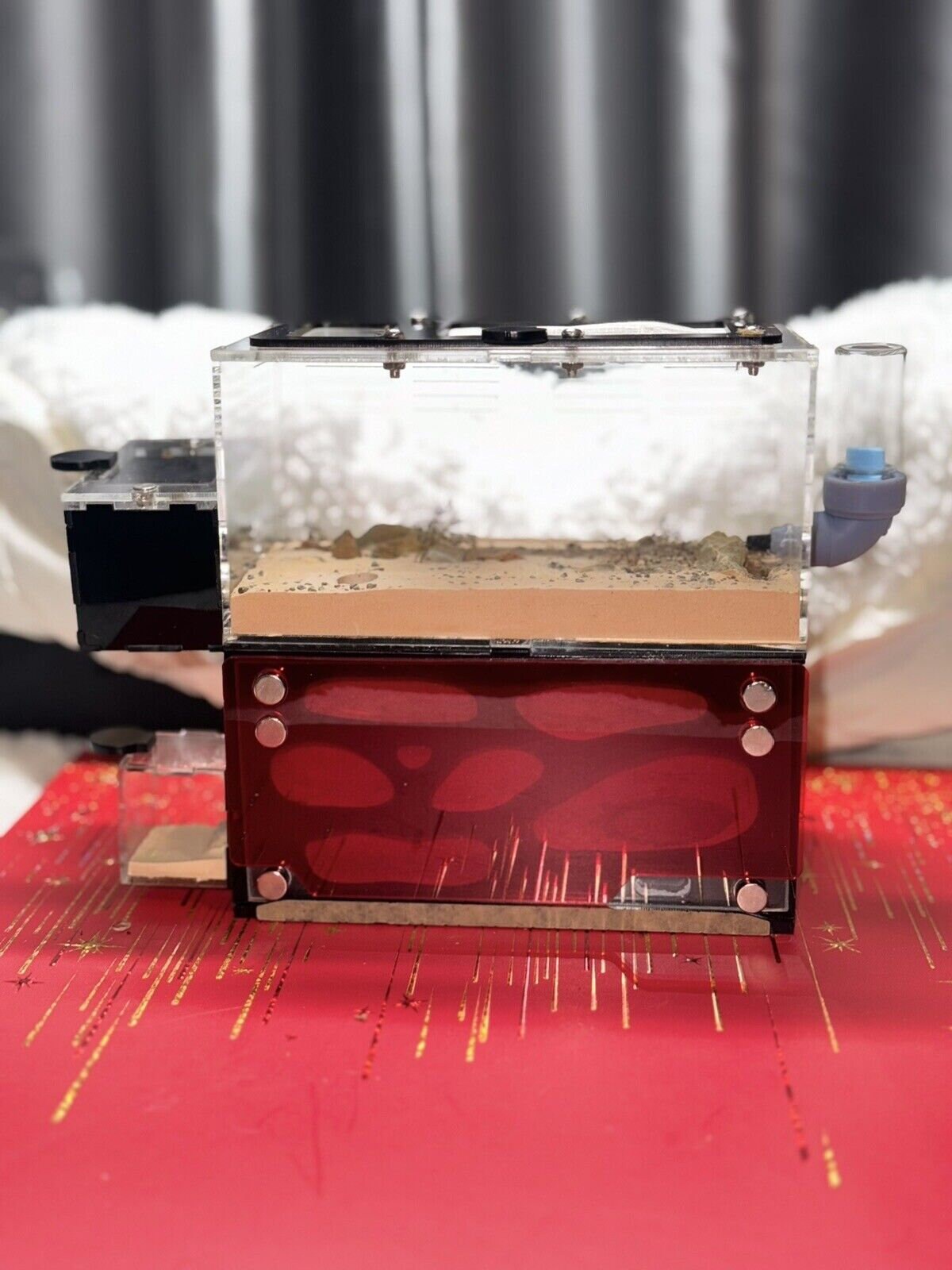 Ant Tank/ant Farm Nest D02 Full Option - Etsy