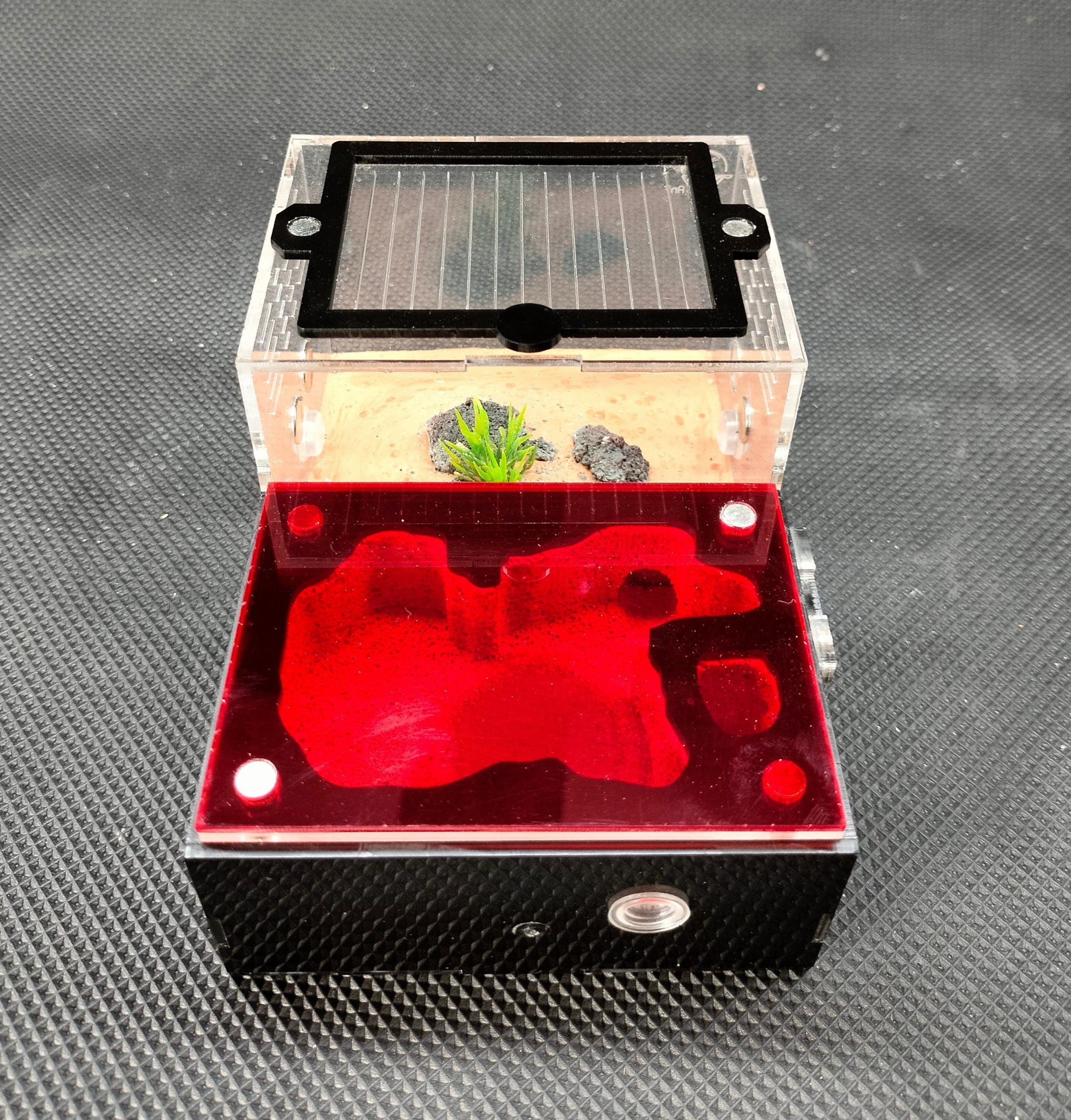 Ant Tank/ant Farm - Nest N01 - Full Option - Etsy