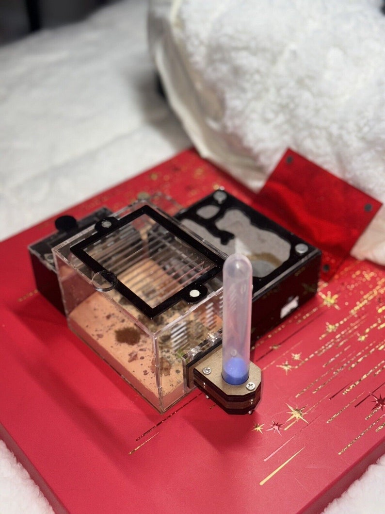 Ant Tank/ant Farm Nest N01 Full Option - Etsy