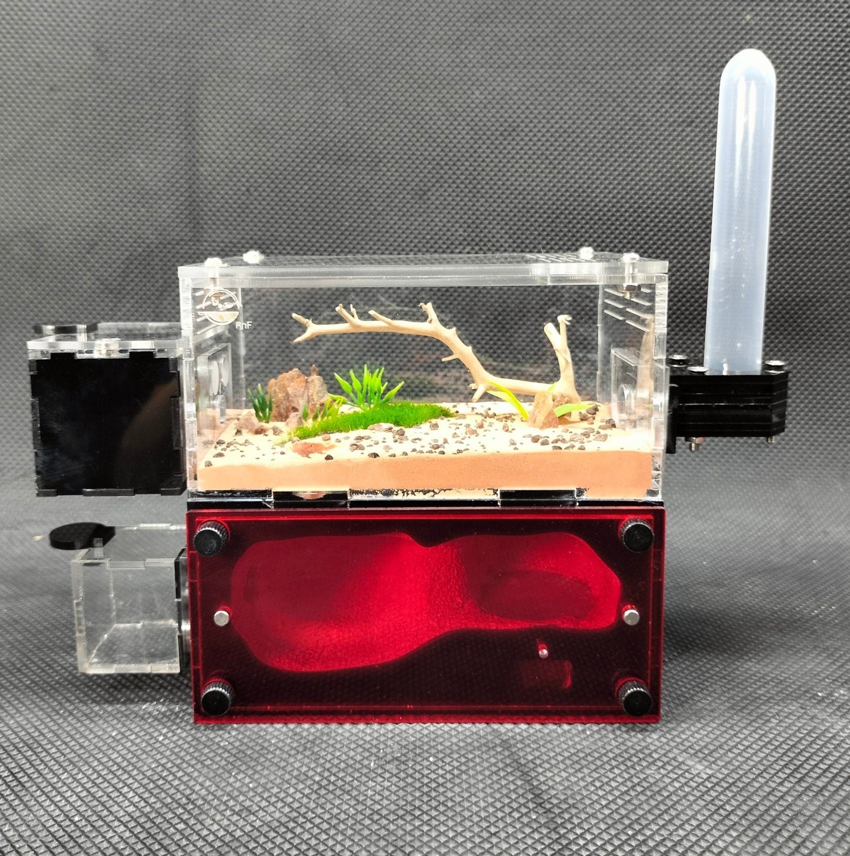 Ant Tank/ant Farm - Stand Nest H02 - Full Option - New Version - Etsy