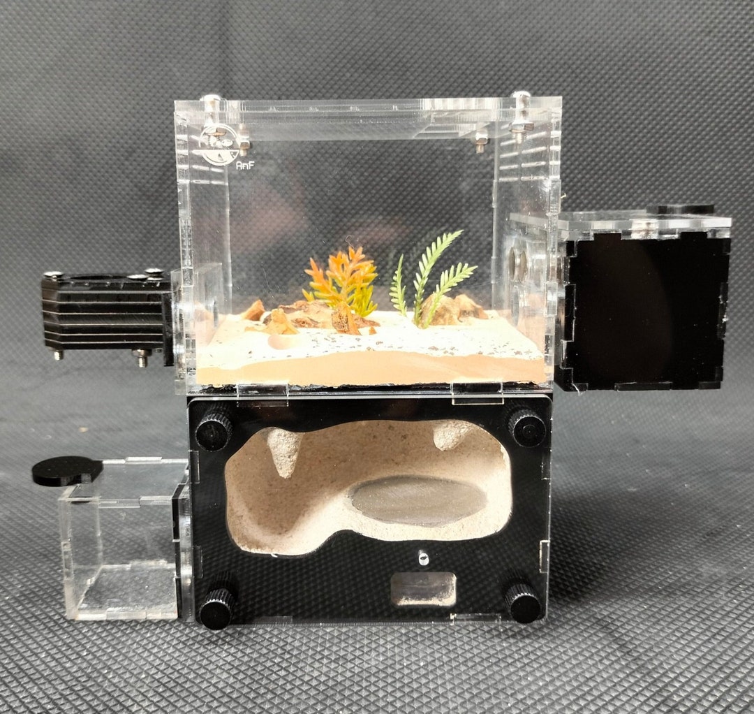 Ant Tank/ant Farm Stand Nest H01 Full Option New Version - Etsy