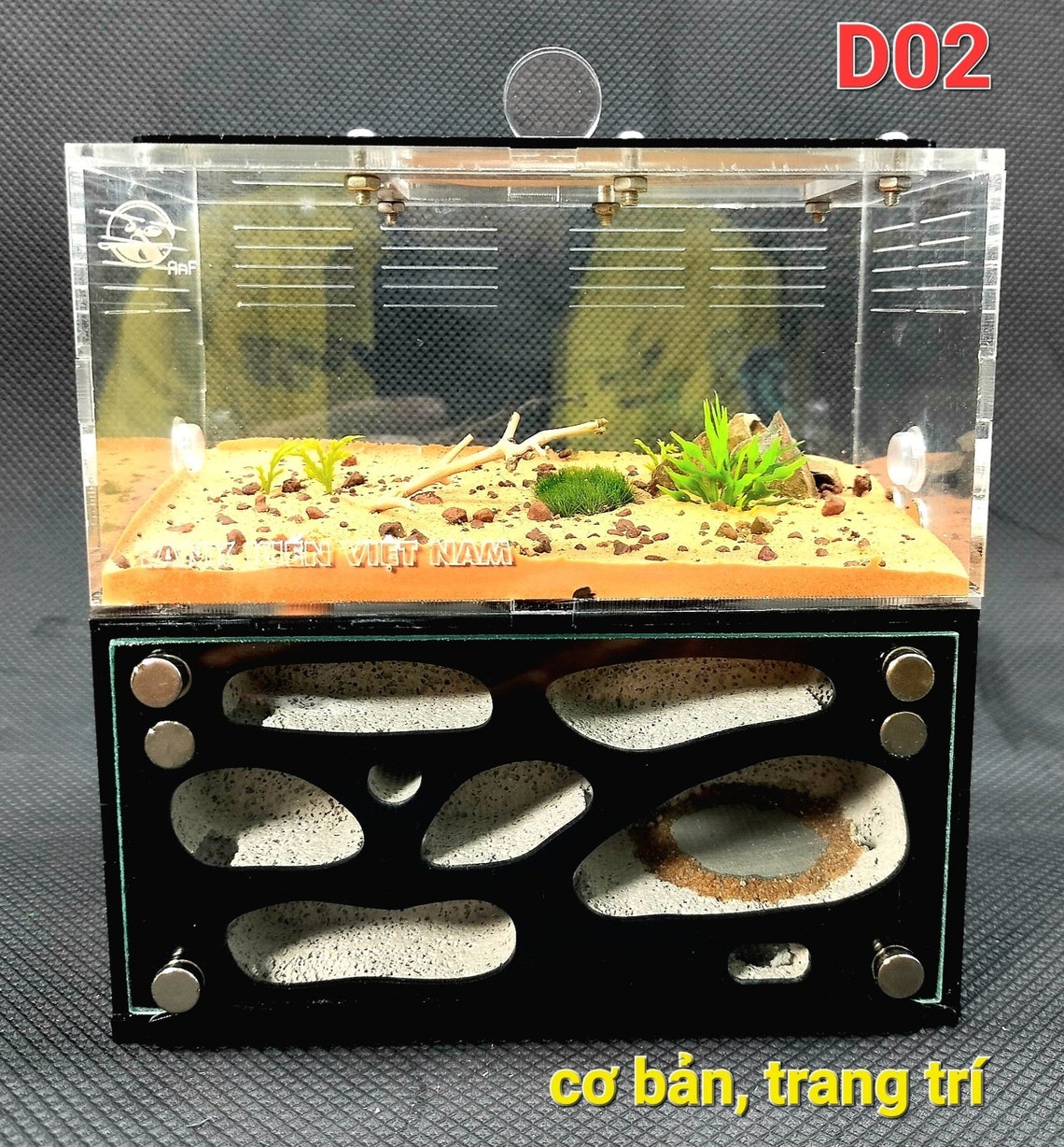 Ant Tank/ant Farm - Nest D02 - Full Option - Etsy