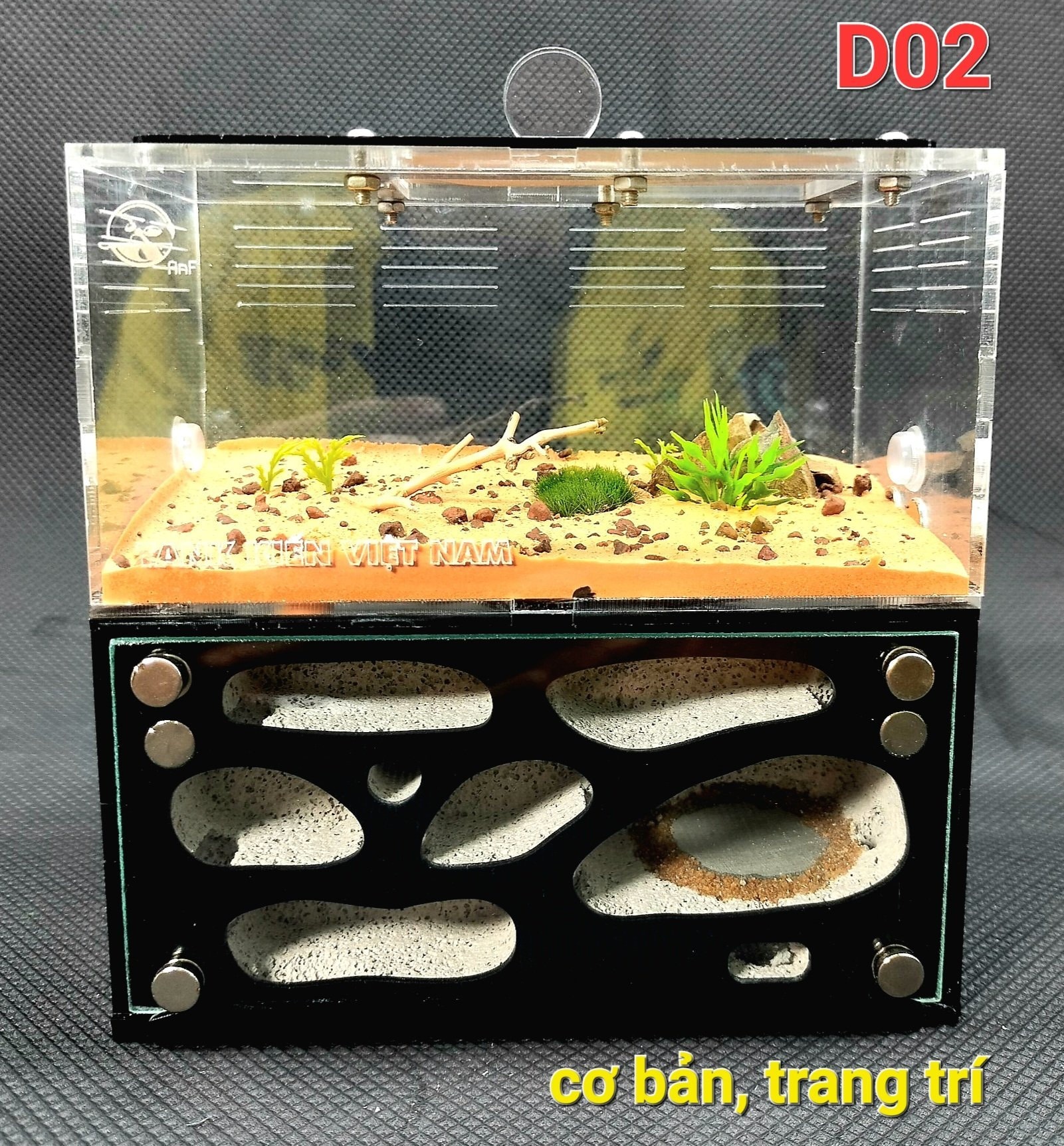 Ant Tank/ant Farm - Nest D02 - Full Option - Etsy