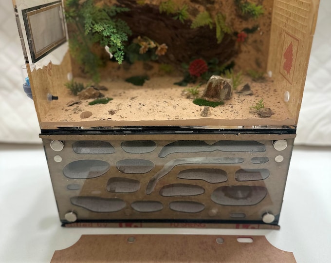 Ant Tank/ant Farm - Nest D05 - Max Option - Etsy