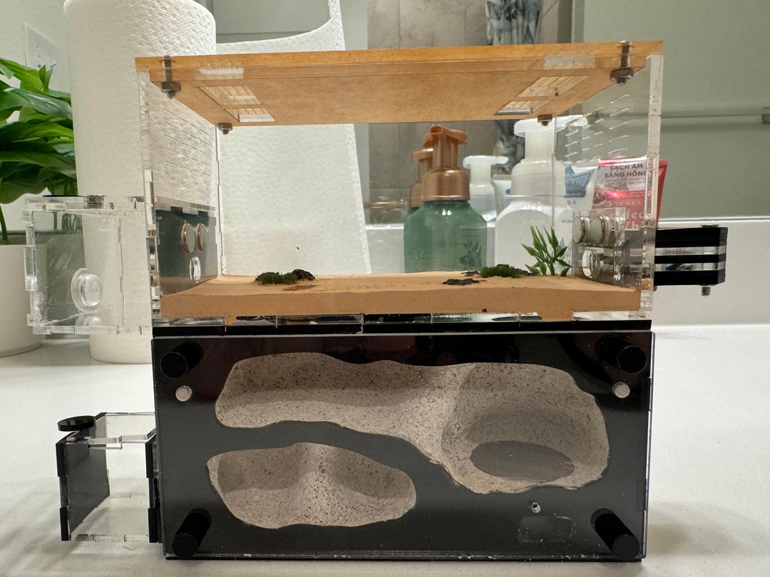 Ant Tank/ant Farm Stand Nest H03 Full Option New Version - Etsy