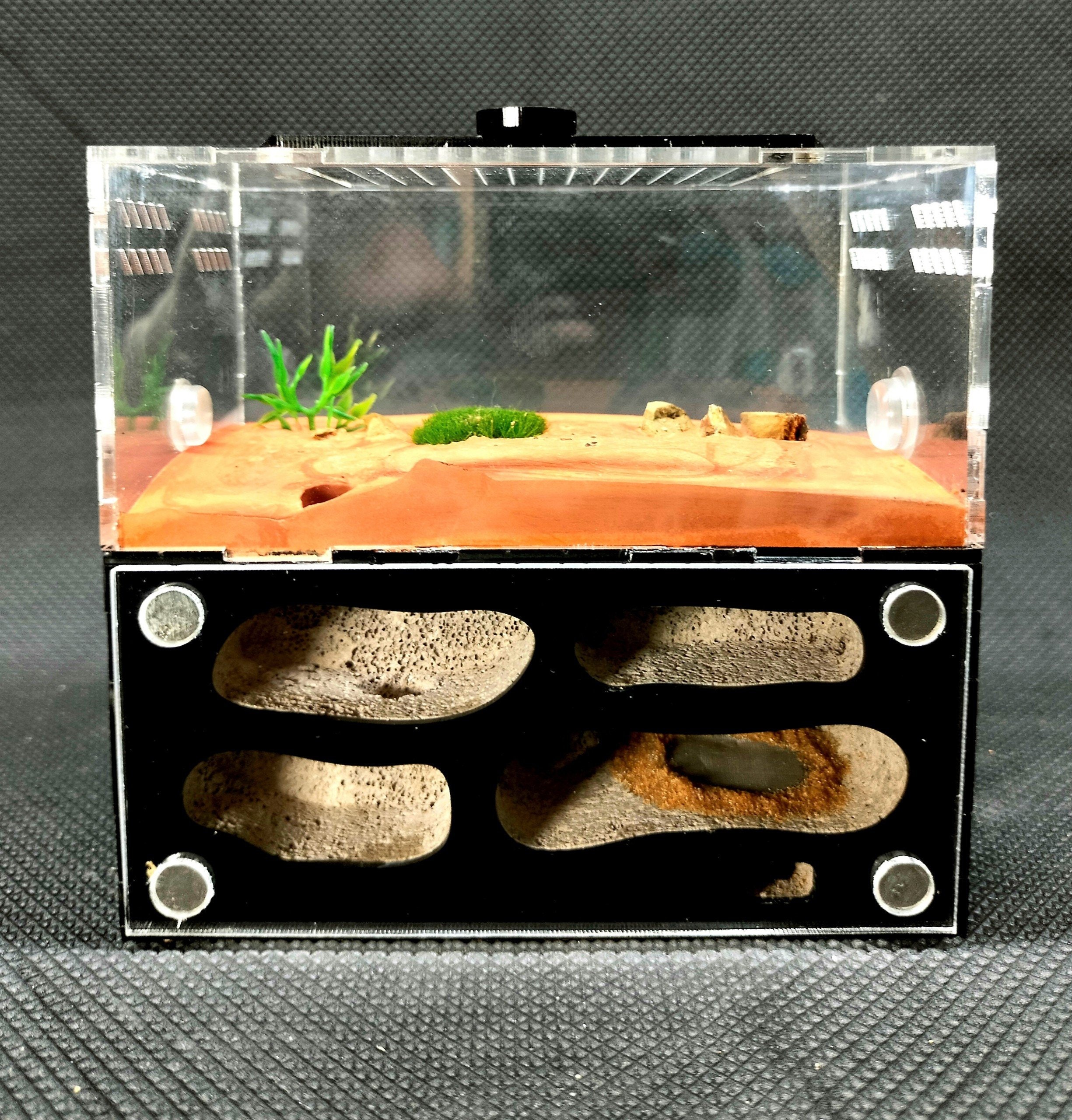 Ant Tank/ant Farm - Stand Nest D01 - Full Option - Etsy