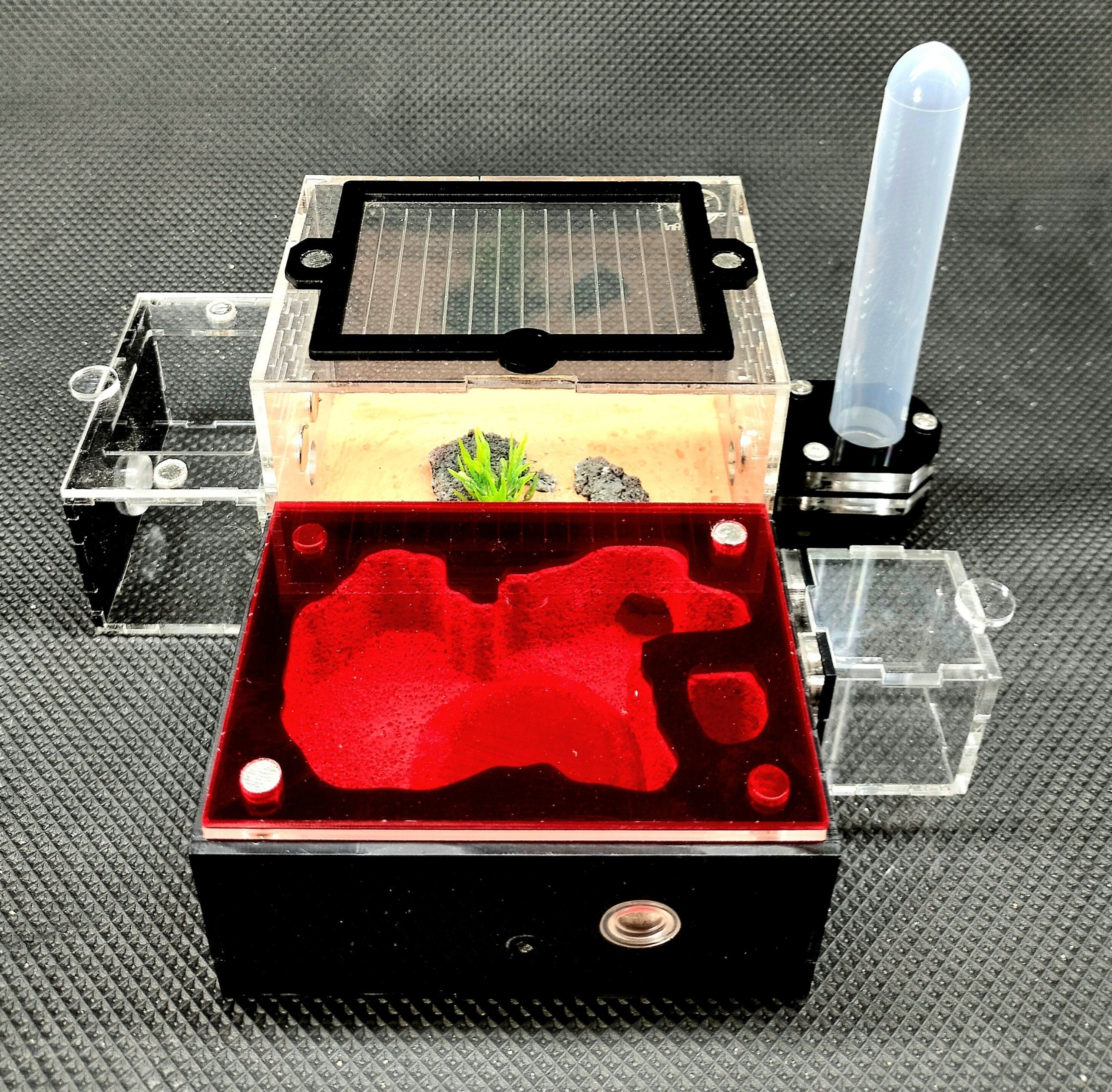 Ant Tank/ant Farm - Nest N01 - Full Option - Etsy