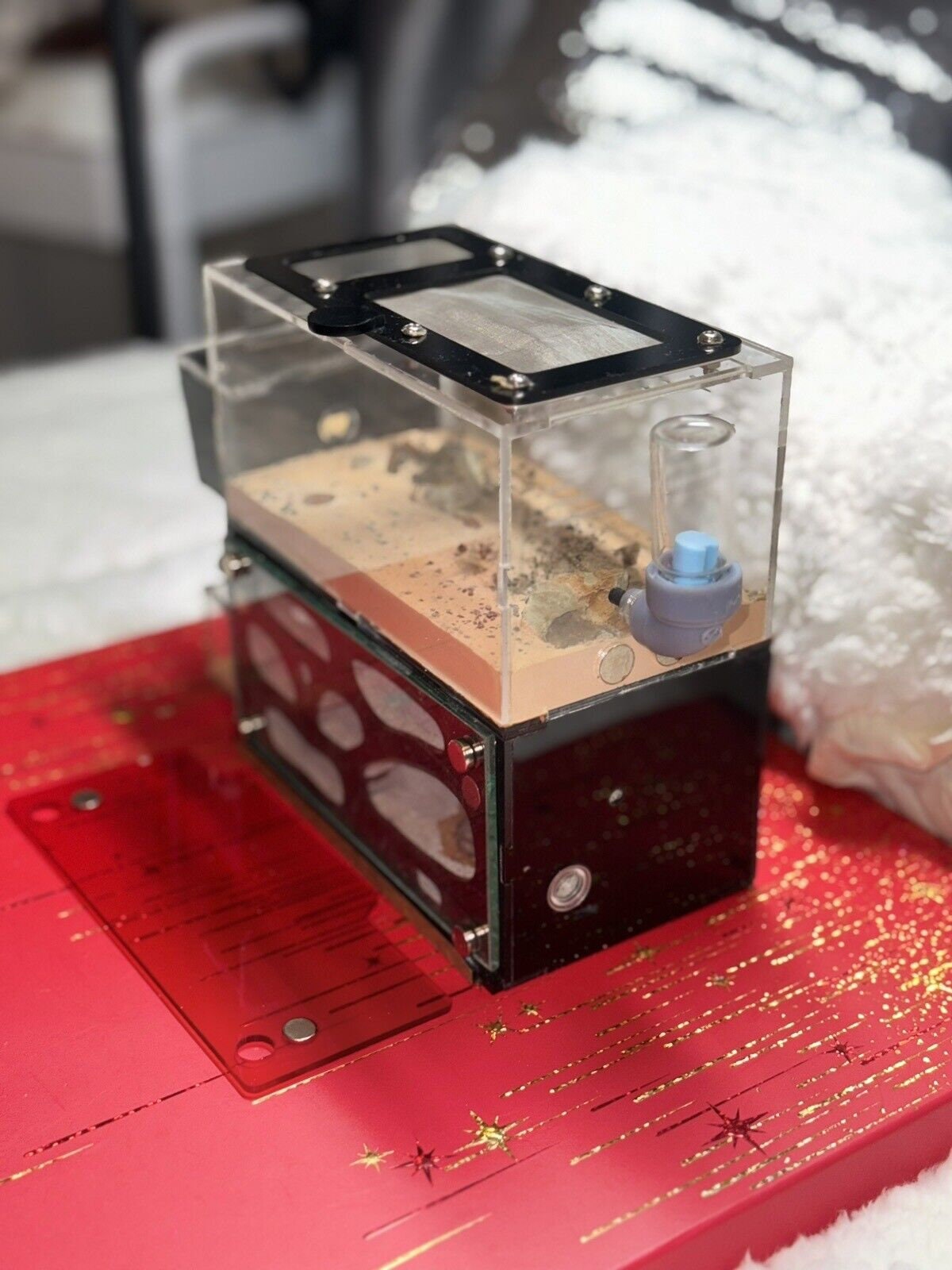 Ant Tank/ant Farm Nest D02 Full Option - Etsy