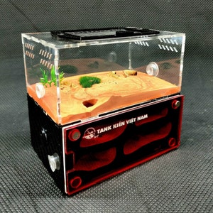 Ant Tank/ant Farm - Nest D02 - Full Option - Etsy