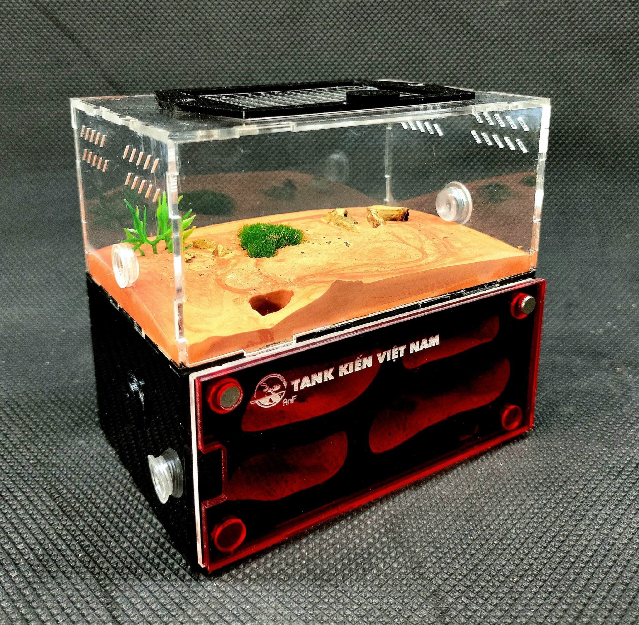 Ant Tank/ant Farm - Nest D02 - Full Option - Etsy