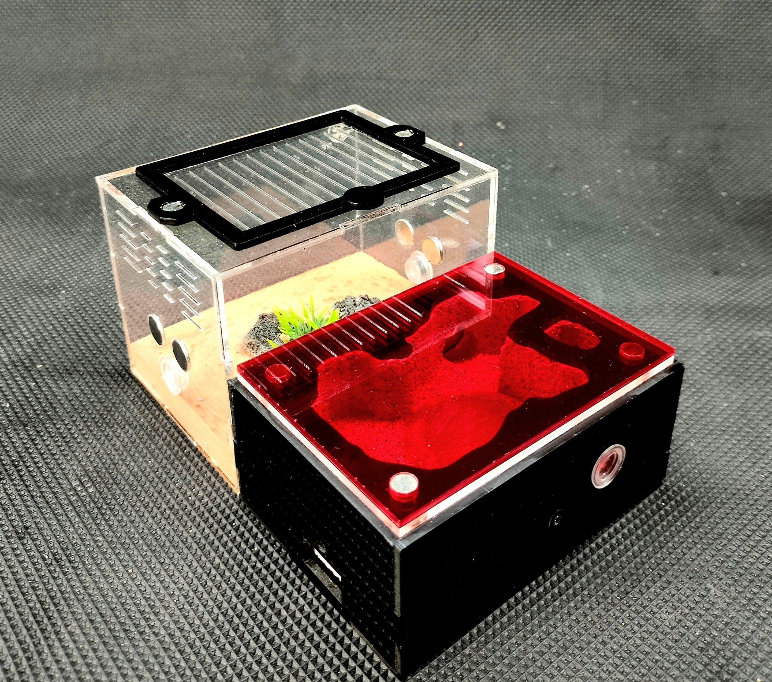 Ant Tank/ant Farm - Nest N01 - Full Option - Etsy