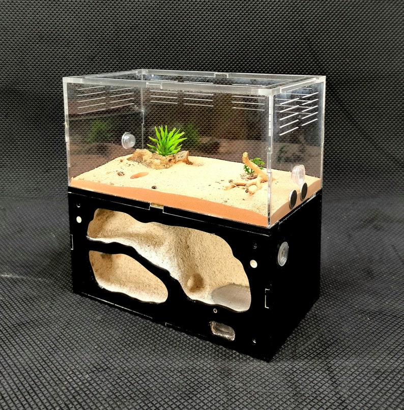 Ant Tank/ant Farm - Stand Nest H03 - Full Option - New Version - Etsy