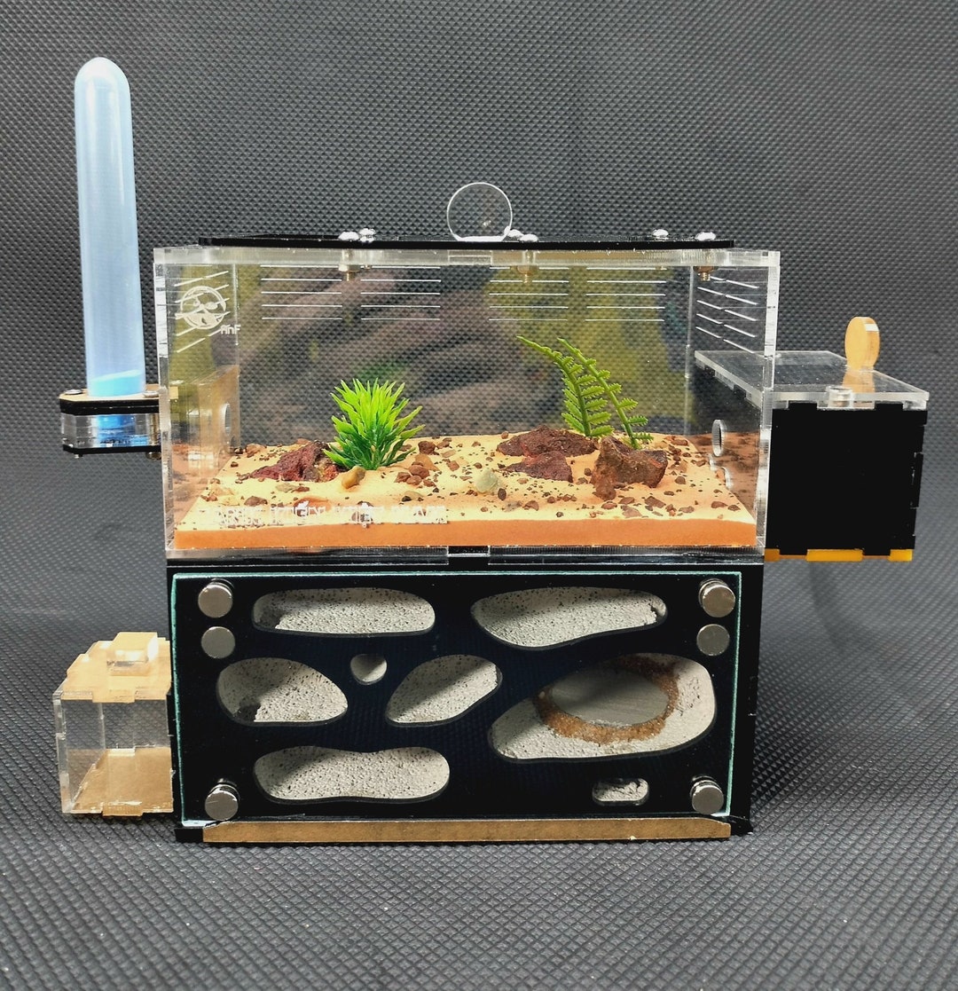 Ant Tank/ant Farm - Nest D02 - Full Option - Etsy