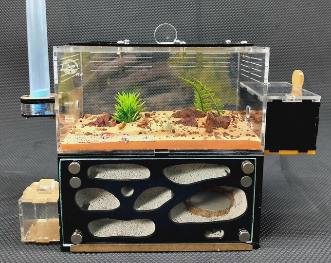 Academy Formicarium Ant Farm for School Science, Biology, Zoology ...