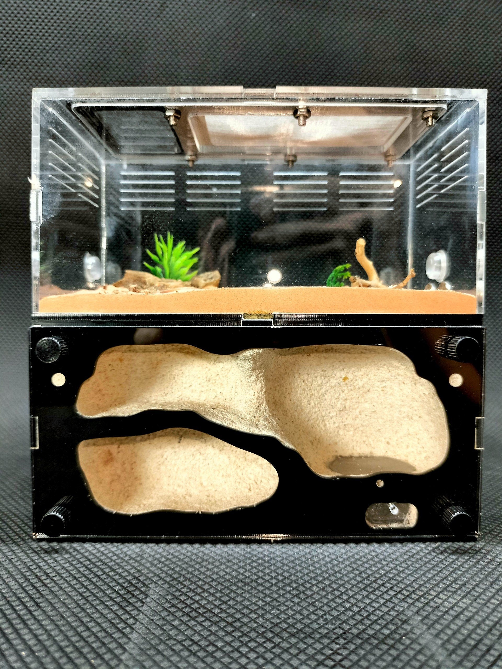 Ant Tank/ant Farm - Stand Nest H03 - Full Option - New Version - Etsy