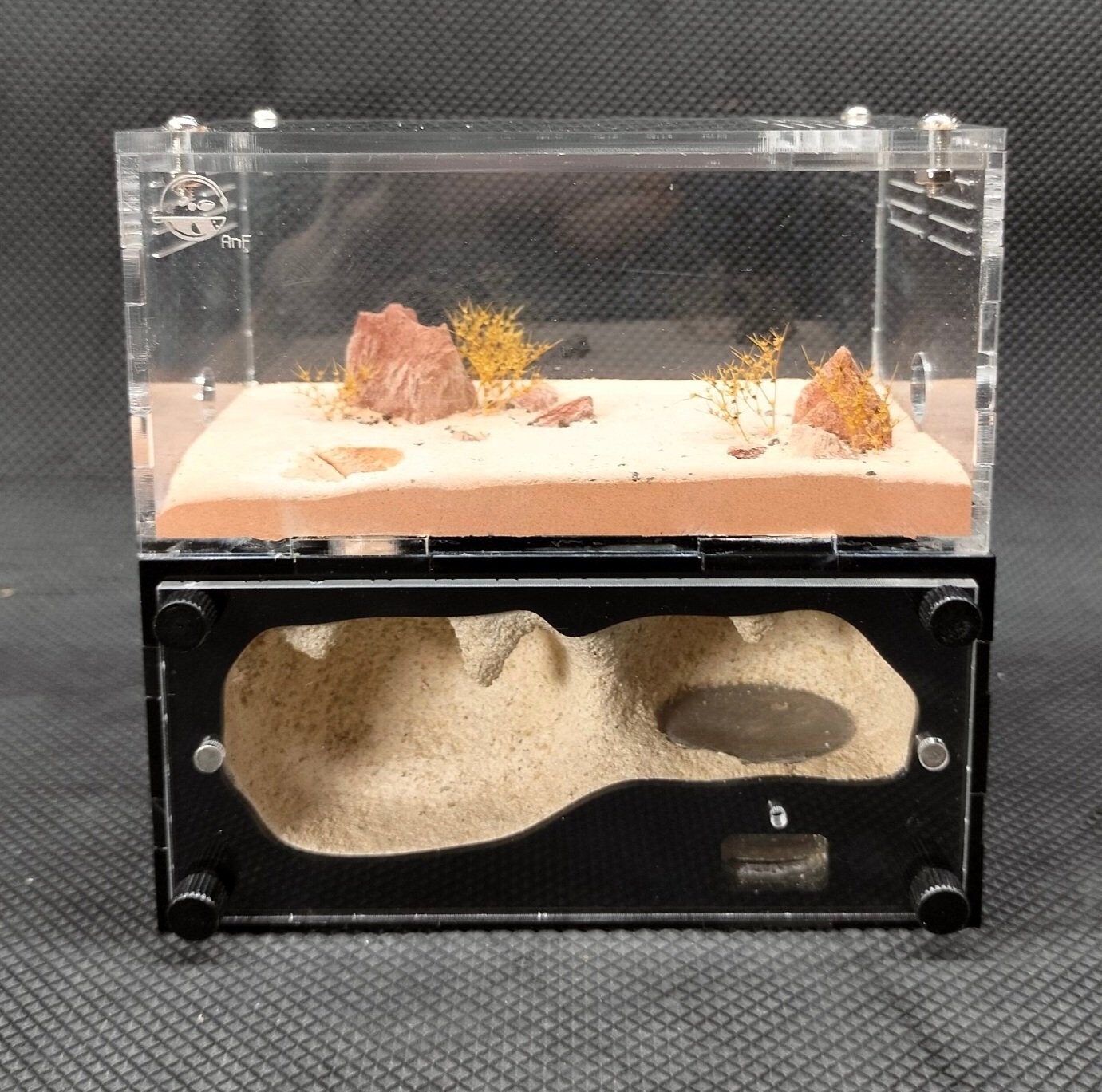 Ant Tank/ant Farm - Stand Nest H02 - Full Option - New Version - Etsy