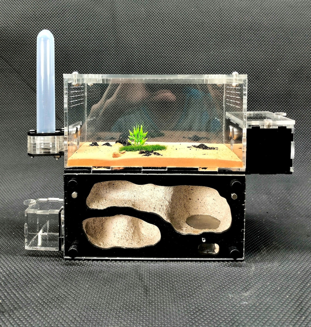 Ant Tank/ant Farm - Stand Nest H03 - Full Option - New Version - Etsy