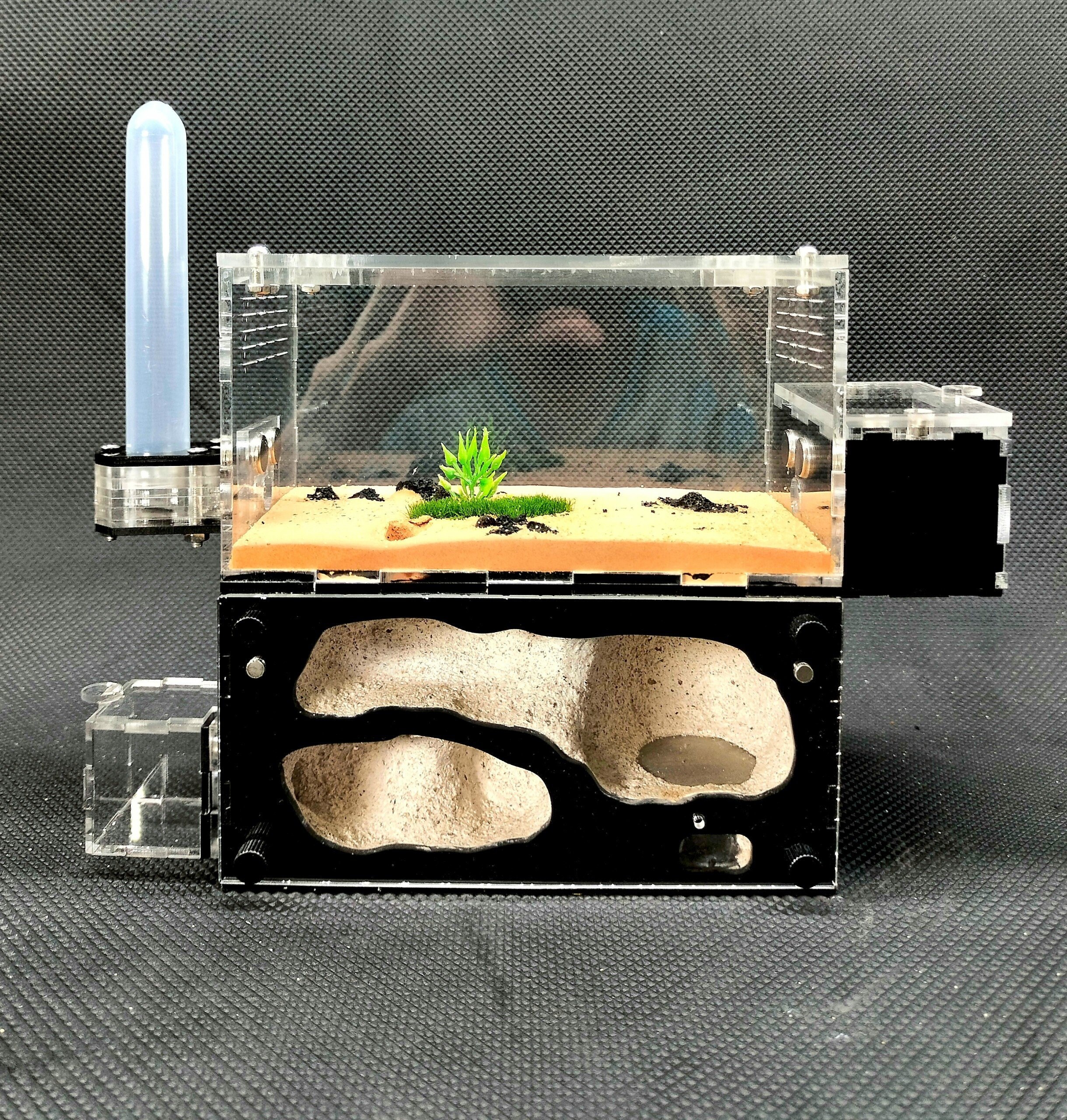 Ant Tank/ant Farm - Stand Nest H03 - Full Option - New Version - Etsy