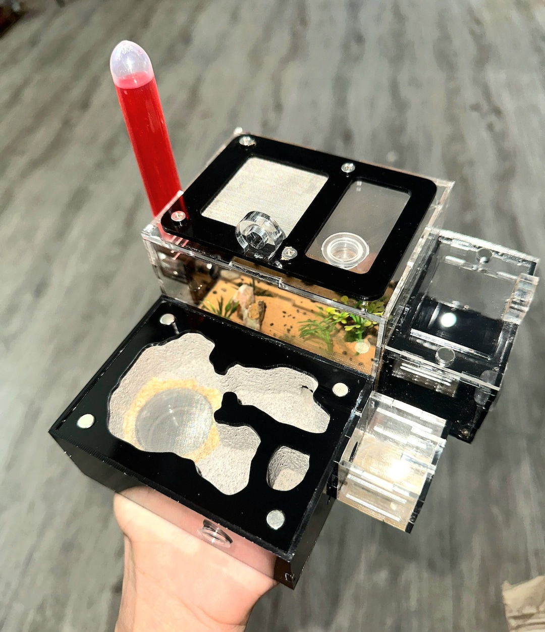 Ant Tank/ant Farm - Nest N01 - Full Option - Etsy