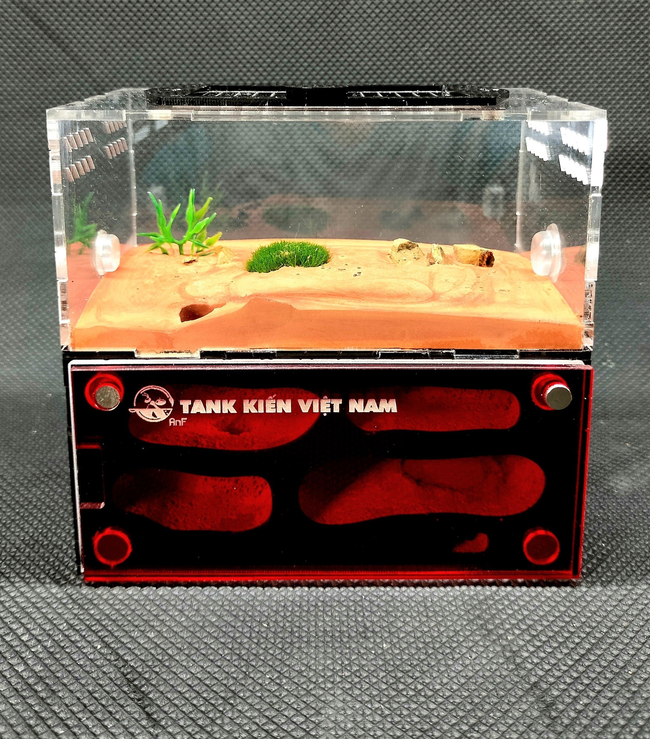 Ant Tank/ant Farm - Stand Nest D01 - Full Option - Etsy