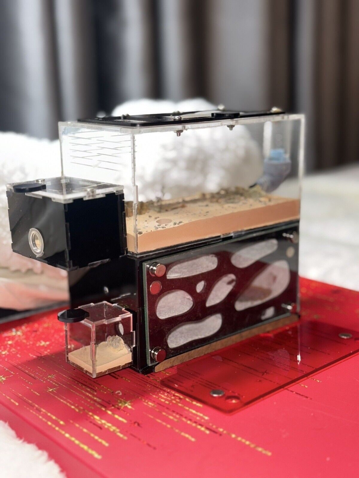 Ant Tank/ant Farm Nest D02 Full Option - Etsy