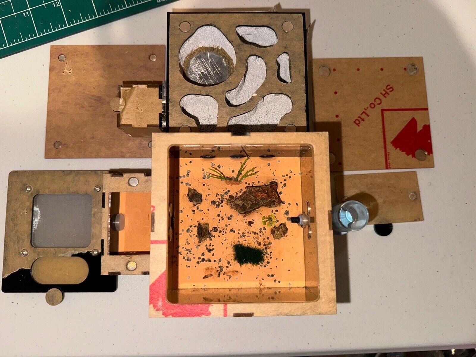 Ant Tank/ant Farm Nest N02 Full Option - Etsy